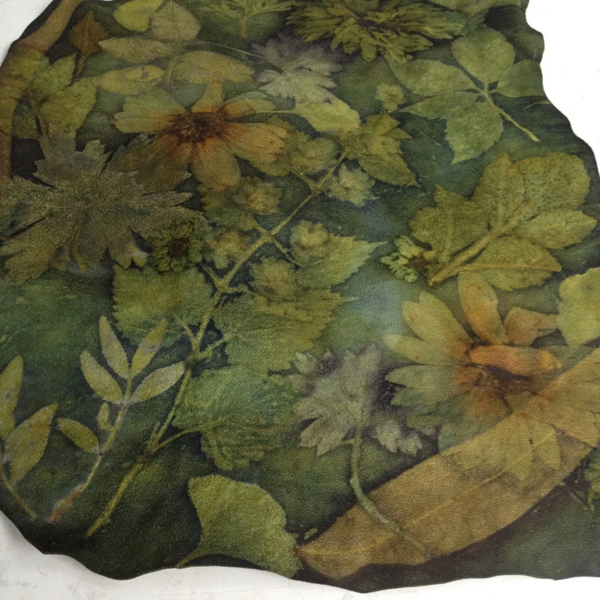 WORKSHOP ECOPRINT LEER GROEN | Carla van Belle