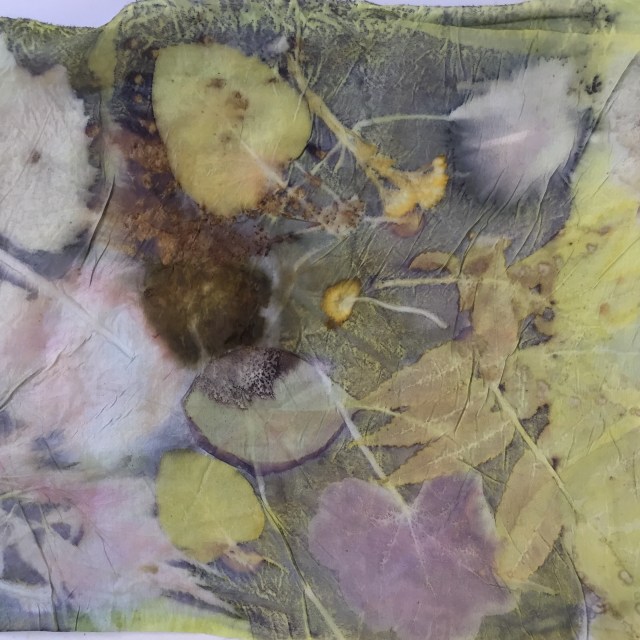 TRIPLE COLOR ECOPRINT WORKSHOP ECOPRINTEN PLANTAARDIG VERVEN | Carla van Belle