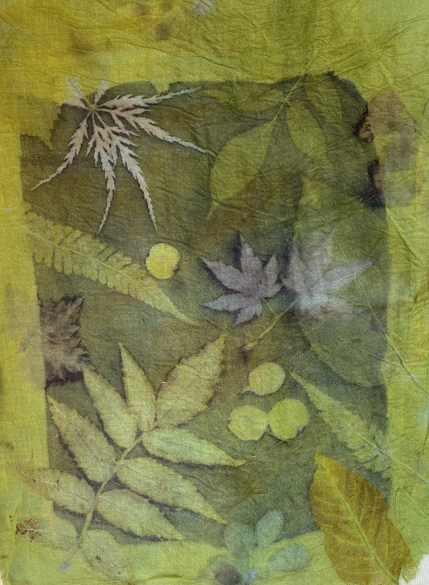 TRIPLE COLOR ECOPRINT WORKSHOP INDIGO + SUMI | Carla van Belle